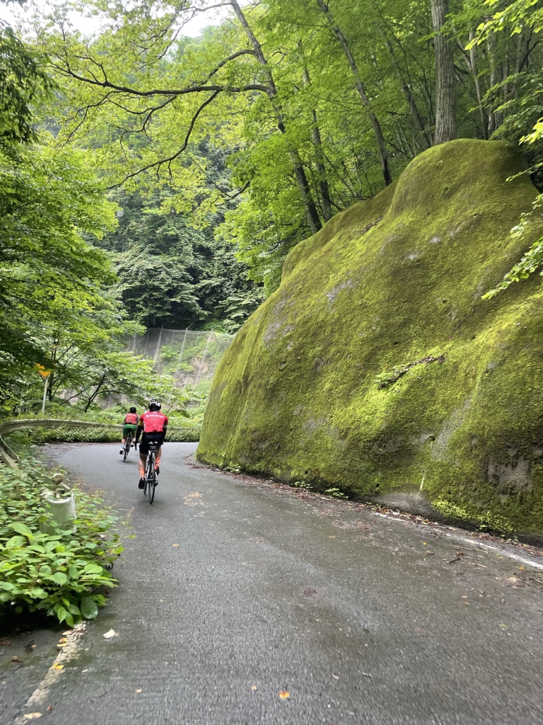 Attack!299行ってきました | BiciclettaSHIDO